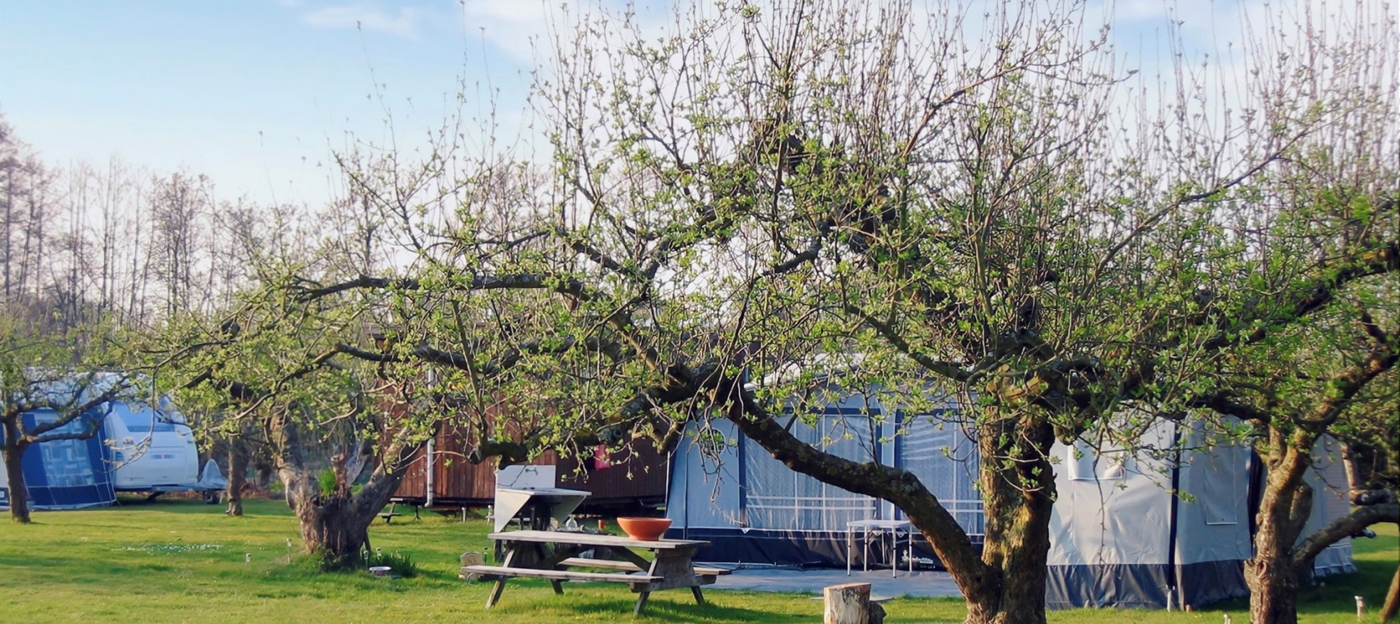 Kamperen in Zeeland op een rustige camping in Burgh Haamstede